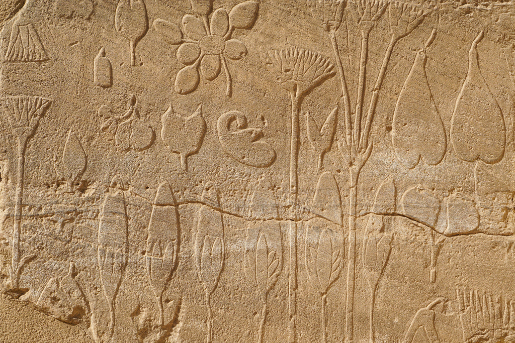 Floral Traditions in Ancient Egypt - from Garden of Eden Flower Shop ...