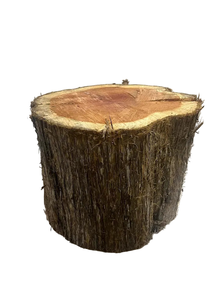 Tree Stump Centerpieces – The Garden of Eden Flower Shop